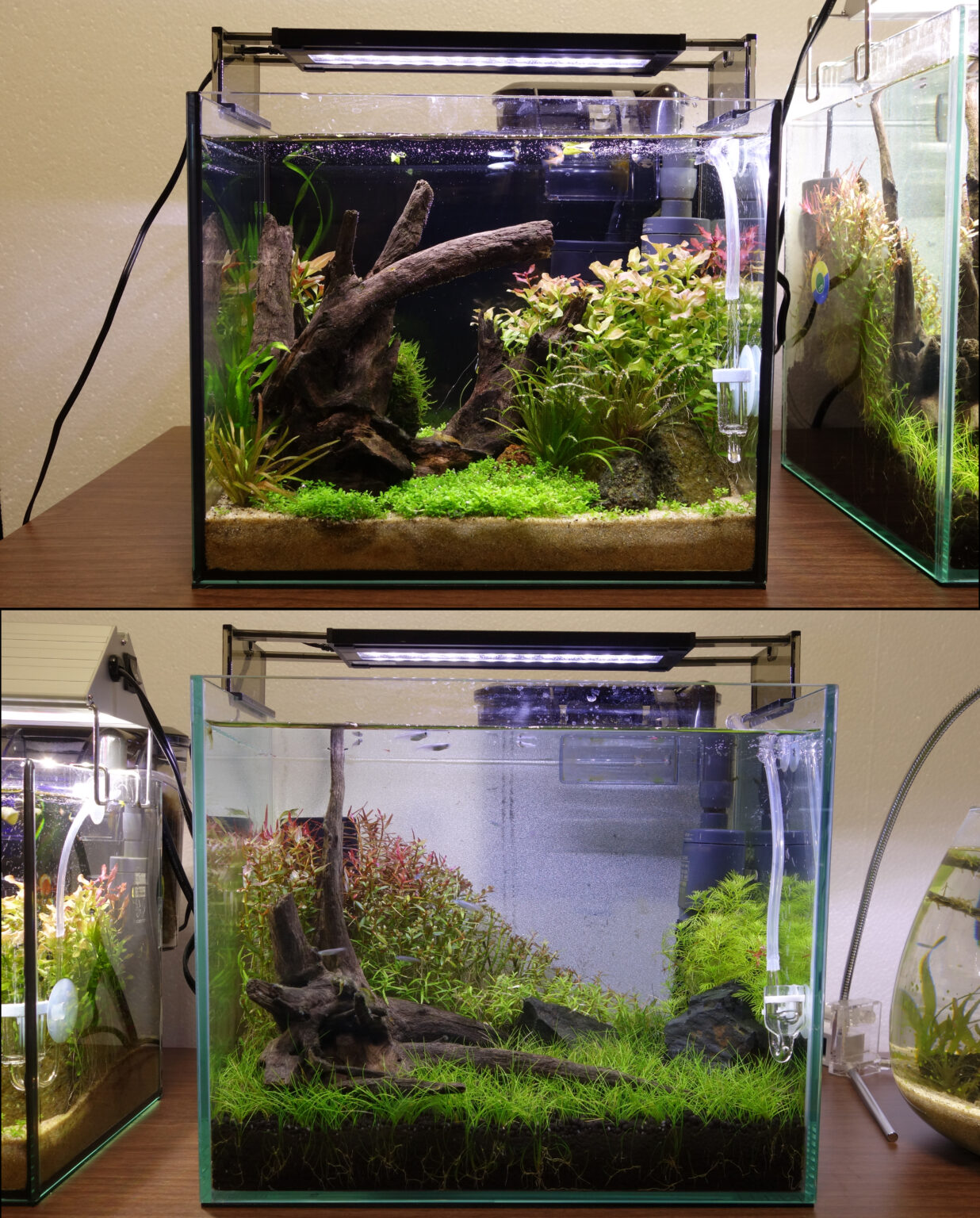 【LED照明】GEX POWER X 2030は30cm未満の水槽におすすめ【水草水槽】 - Mizukusa Newbie Diary