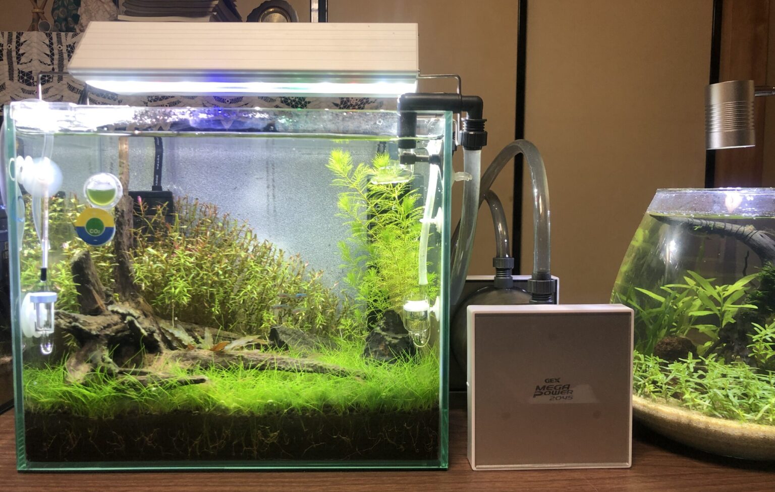 GEX・メガパワー2045を使ってみた【小型水槽向け外部式フィルター】 - Mizukusa Newbie Diary