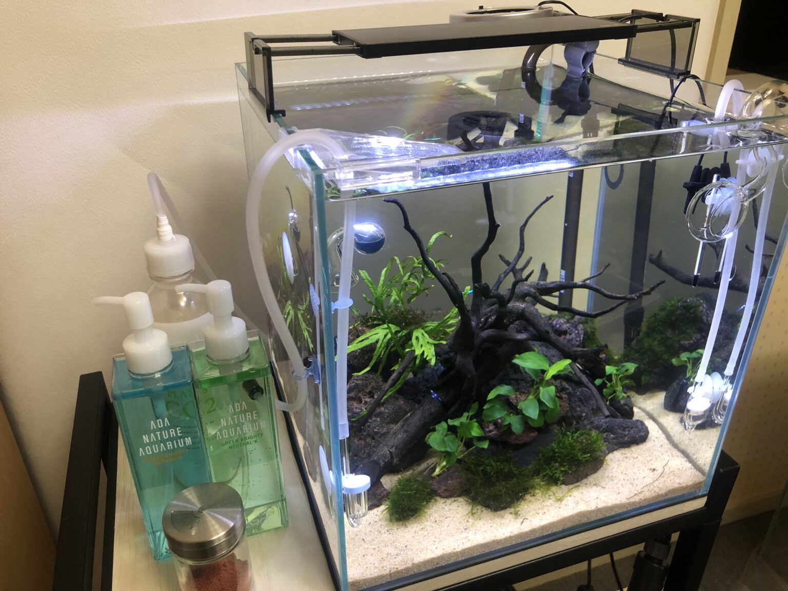 30cmキューブ水槽でエーハイム2213を使ってみる【小型水槽でも大丈夫？】 - Mizukusa Newbie Diary